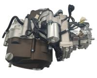 China 140cc Nature Engine Motorcycle Single Cylinder 4 Stroke Method Origin CDI Start for sale
