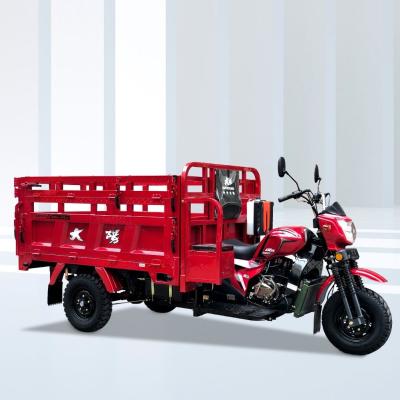 Cina Perù Mercato DAYANG triciclo con potente motore da 200cc/250cc/300cc e tipo a tre ruote in vendita