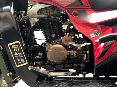 Cina Perù Mercato DAYANG triciclo con potente motore da 200cc/250cc/300cc e tipo a tre ruote in vendita