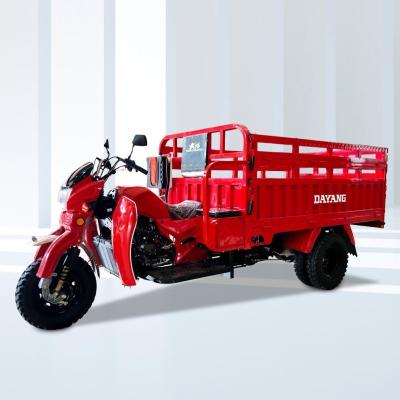 Cina DAYANG BEIYI 200CC motociclo a tre ruote con origine aperta in vendita