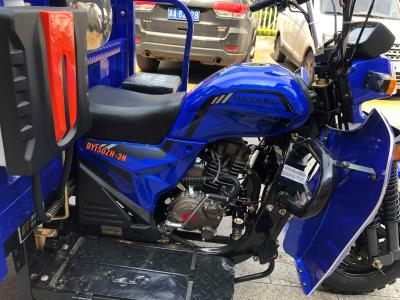 Cina DAYANG Green Energy Solar Panel Tricycle Motor con motore da 200cc e dimensione pneumatica da 5,0-12 in vendita
