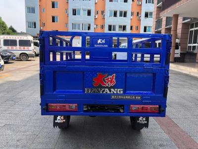 Cina DAYANG Green Energy Solar Panel Tricycle Motor con motore da 200cc e dimensione pneumatica da 5,0-12 in vendita