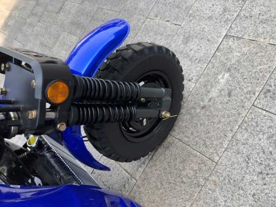 Cina DAYANG Green Energy Solar Panel Tricycle Motor con motore da 200cc e dimensione pneumatica da 5,0-12 in vendita