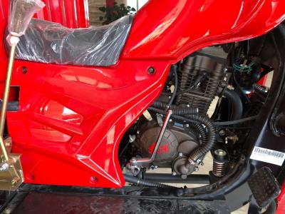 Cina Motorizzato 250cc triciclo merci scarico automatico 5.0-12 pneumatici motorizzato merci Trimoto in vendita