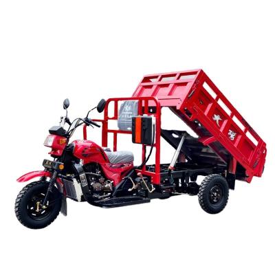 中国 10L 容量 ガソリン ガソリン モーター付き 貨物 三輪車 インドネシア市場に最適 販売のため
