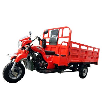 Cina 2022 Adult Home Farm Gas Powered Heavy Duty Cargo Vehicle Tricycle con potenza di 1000W in vendita