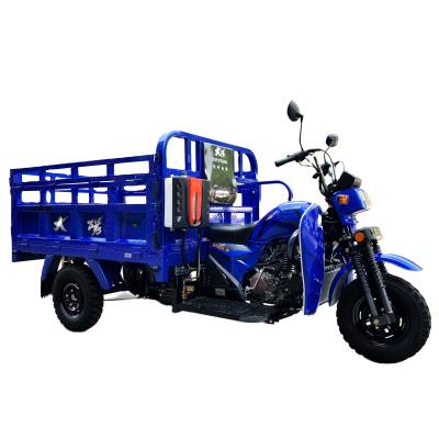 China 1000W High Power 3 Wheel Motorcycle 150cc Moto Cargo Driewieler Professionele gas driewieler Te koop