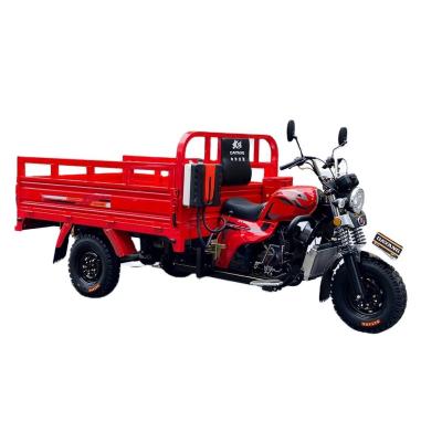 China DAYANG High Stability Sales Cargo Tricycle met volle zwevende riem en Changan achteras Te koop