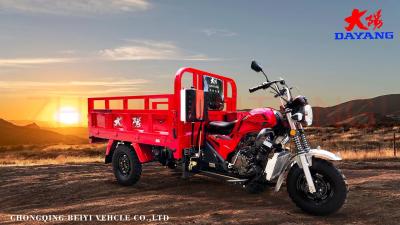 Cina DAYANG High Stability Sales Cargo Tricycle con cintura di galleggiamento e asse posteriore Changan in vendita