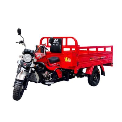 China DAYANG 200cc gas driewieler met 5,0 inch wielen en duurzame Lifan motor in Kameroen Te koop