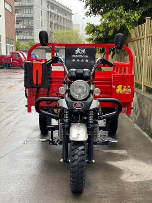 Cina DAYANG 200cc triciclo a gas con ruote da 5,0 pollici e motore Lifan durevole in Camerun in vendita