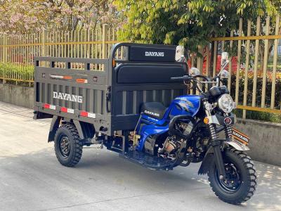 Cina Dayang Heavy Load Motorized 200cc Moto per il Sudan Triciclo Tuk Tuk Cargo personalizzato in vendita