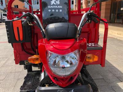 Cina Produttori di trimoto a benzina a tre ruote da 250cc per il trasporto di carichi pesanti ad Abidjan in vendita
