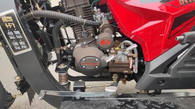 Cina 200cc Power Motor Catgo triciclo con motore a 4 tempi monocilindrico in Indonesia in vendita