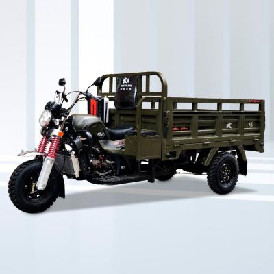 Cina Capacità di super carico Triciclo merci motorizzato con potenza di 800W e velocità di 60 km/h in vendita