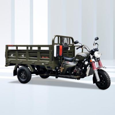 Cina Capacità di super carico Triciclo merci motorizzato con potenza di 800W e velocità di 60 km/h in vendita
