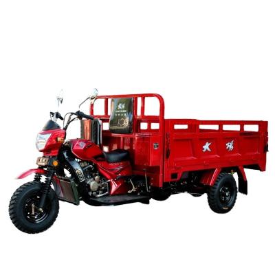 Cina DAYANG 3 ruote Motocicletta Triciclo con lamelle di molla posteriori 5 2 Tipo di guida motorizzata in vendita