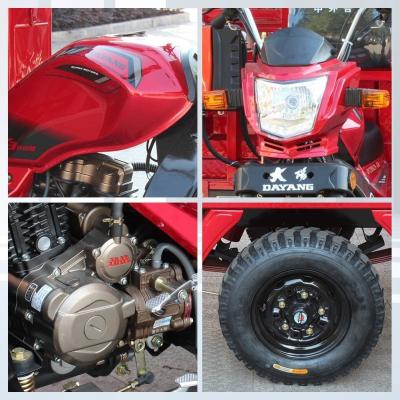 Cina DAYANG 3 ruote Motocicletta Triciclo con lamelle di molla posteriori 5 2 Tipo di guida motorizzata in vendita