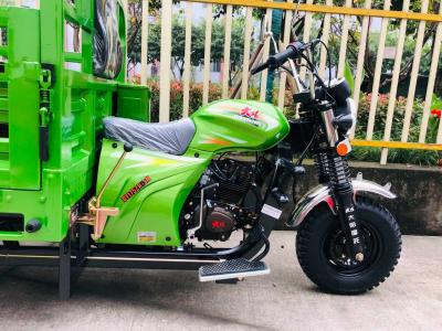 Cina Motore di raffreddamento ad aria convertibile Tuk Tuk con grande spazio e 50 tipi di assorbimento degli urti in vendita
