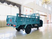 China 250cc Self Loader Three Wheel Cargo Tricycle with Cooling Mode Method Chassis 50*100 for sale