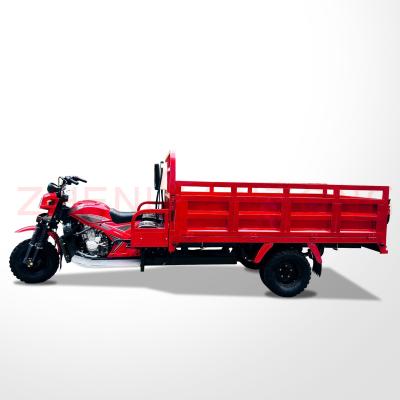 Cina 50 * 100 Trike di carico motorizzato 250cc Motociclo a tre ruote Tipo carburante Benzina Benzina in vendita