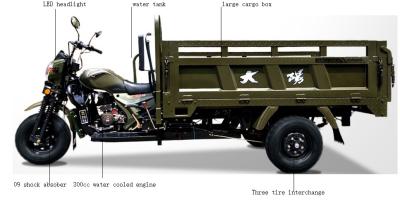 China 300cc Achteras Floating Booster King 2000Kg High Capacity Three Wheel Cargo Motorcycle Te koop