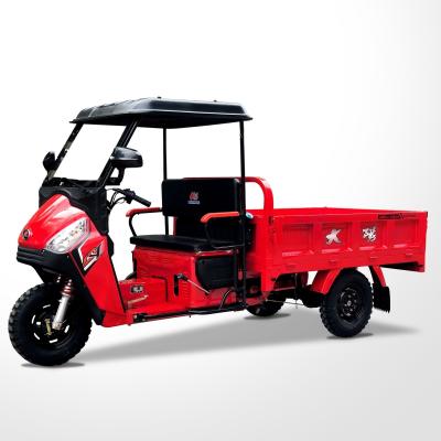 China 40*60 Chassis DAYANG Fully Enclosed Express Delivery Vehicle with LCD Light Cargo Express for sale