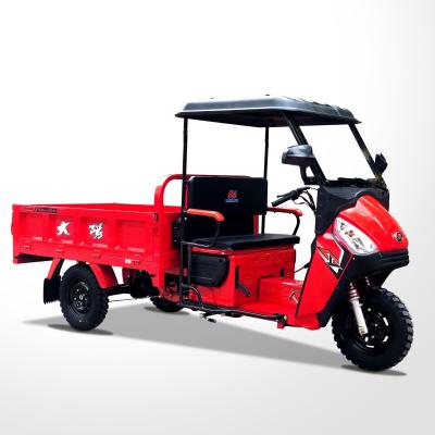 China 40*60 Chassis DAYANG Fully Enclosed Express Delivery Vehicle with LCD Light Cargo Express for sale