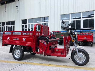 Cina Corpo personalizzato 800W carico leggero tre ruote carico moto triciclo triciclo trike bicicletta per adulti in vendita