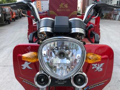 Cina Corpo personalizzato 800W carico leggero tre ruote carico moto triciclo triciclo trike bicicletta per adulti in vendita