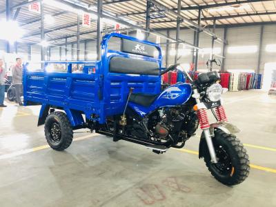 Cina 1.8m Cargo Box Motorized Cargo Tricycle per l'agricoltura 175CC/200CC/250CC Motore in vendita