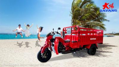Cina Triciclo a benzina raffreddato ad acqua da 300cc con motore personalizzato da DAYANG in vendita