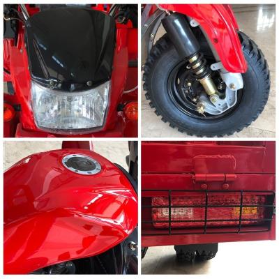 Cina Triciclo a benzina raffreddato ad acqua da 300cc con motore personalizzato da DAYANG in vendita