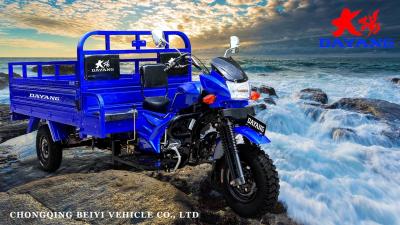Cina Tipo di carrozzeria aperta DAYANG Potente triciclo a motore per carico 200cc 250cc Pedicab a benzina in vendita
