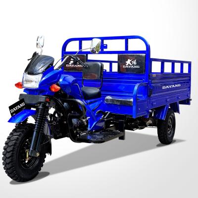 Cina Tipo di carrozzeria aperta DAYANG Potente triciclo a motore per carico 200cc 250cc Pedicab a benzina in vendita