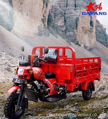 Cina Aumenta l'efficienza agricola con il triciclo a benzina di Wuyang in vendita