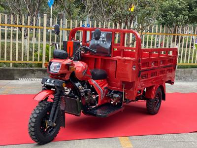 Cina Aumenta l'efficienza agricola con il triciclo a benzina di Wuyang in vendita