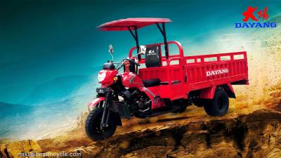 Cina DAYANG 350CC Triciclo a gas a 5 ruote raffreddato ad acqua con certificazione CCC in vendita