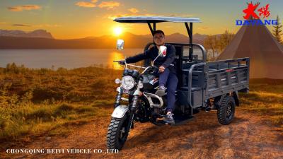 Cina DAYANG Prince Grey Motorized Tricycles con motore da 200 cc e capacità di carico da 1000 kg in vendita