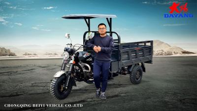 Cina DAYANG Prince Grey Motorized Tricycles con motore da 200 cc e capacità di carico da 1000 kg in vendita