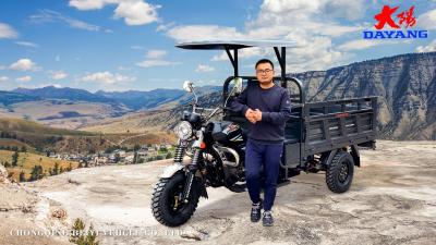 Cina DAYANG Prince Grey Motorized Tricycles con motore da 200 cc e capacità di carico da 1000 kg in vendita