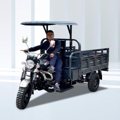 Cina DAYANG Prince Grey Motorized Tricycles con motore da 200 cc e capacità di carico da 1000 kg in vendita
