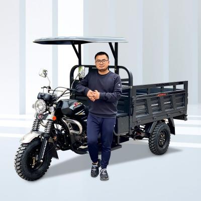 Cina DAYANG Prince Grey Motorized Tricycles con motore da 200 cc e capacità di carico da 1000 kg in vendita