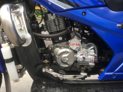 Cina DAYANG 300cc cinque ruote Trike di carico pesante con dimensioni standard doppio asse posteriore Made in vendita