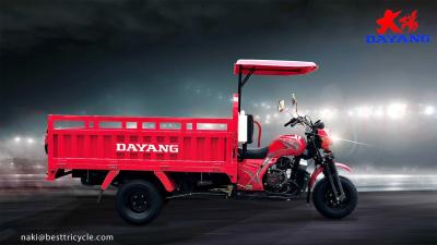 Cina Scatena la potenza di DAYANG DY-H8 250cc/300cc/350cc triciclo in Africa con motore 12V in vendita