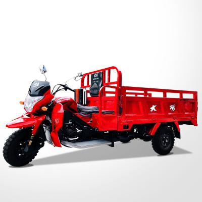 China DAYANG 2021 Model Motorized Tricycle 250 CC Gasoline Cargo Tricycle RUITENG Rood 28 A Te koop