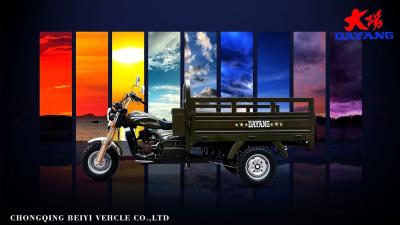 Cina Motore 150cc Camion classico e leggero da carico Triciclo merci con freno posteriore idraulico in vendita