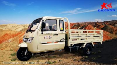 Cina Dayang 3 ruote Motocicletta triciclo con customisato scatola di carico dimensione 2.4 * 1.5 e 12V di potenza in vendita
