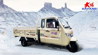 Cina Dayang 3 ruote Motocicletta triciclo con customisato scatola di carico dimensione 2.4 * 1.5 e 12V di potenza in vendita