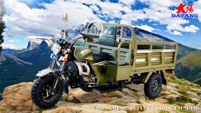 Cina DAYANG Prince DB-1 Triciclo da carico 12V Assorbente d'urto anteriore Ruote di carico pesante Motociclo in vendita